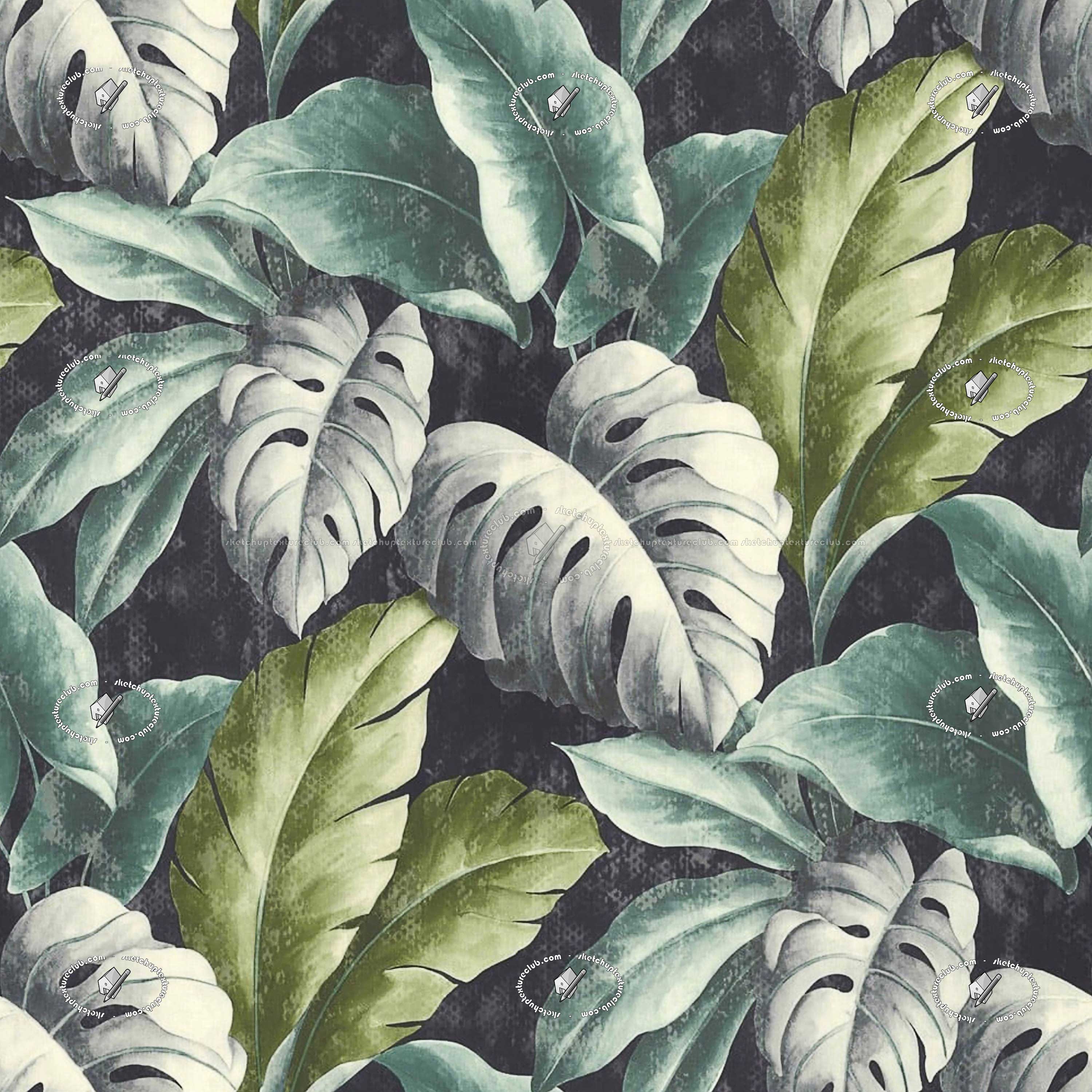 fondo de pantalla hertex,hoja,planta,flor,familia de arrurruz,planta ...