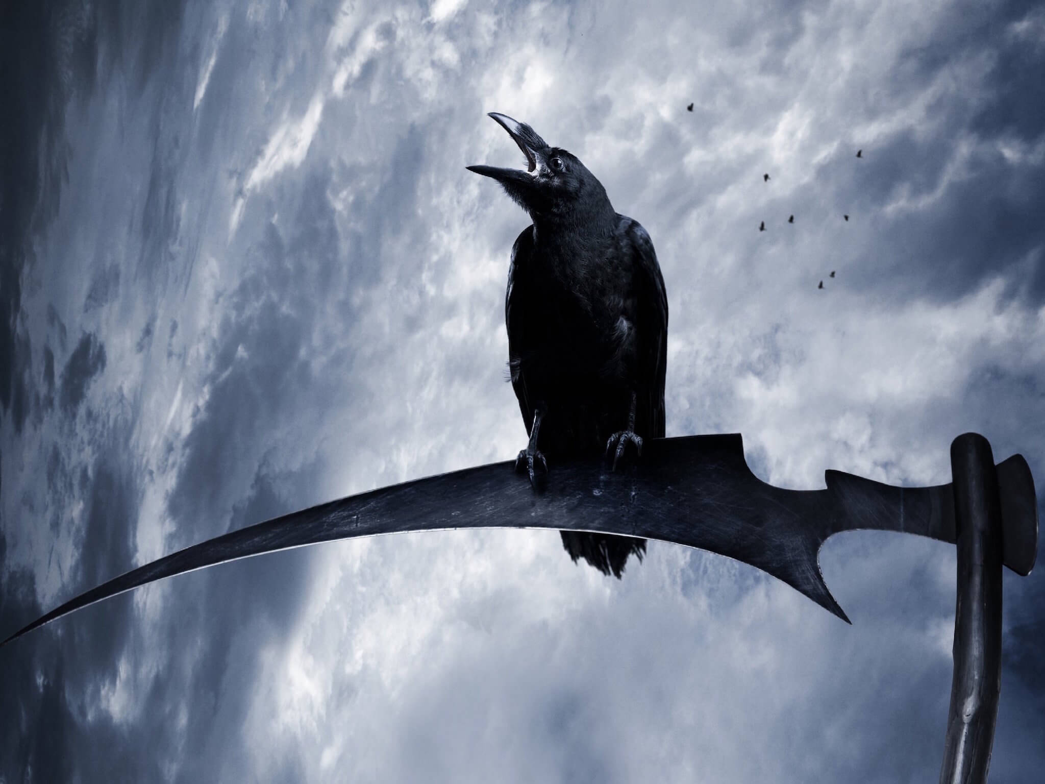 Psychopomp Raven Wallpaper - Grim Reaper With Crows- WallpaperUse