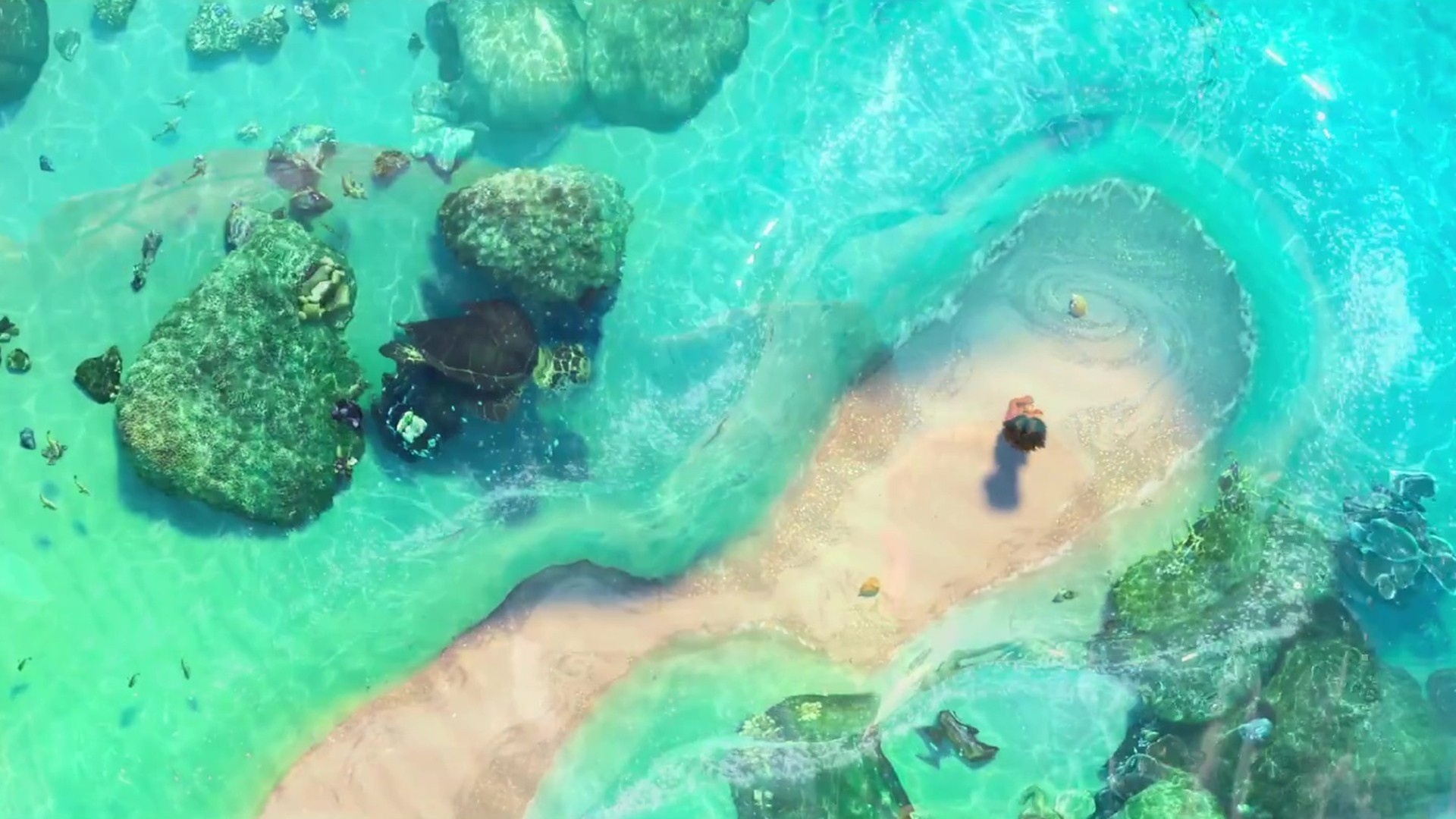 Maui Hd Wallpaper 00833 Src Download Moana Wallpapers - Moana ...