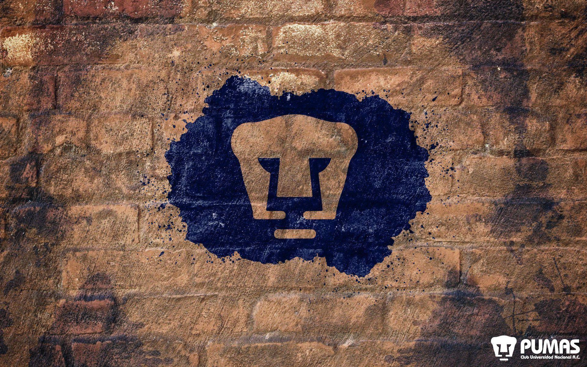 unam wallpaper,wall,logo,font,symbol,wood (#197398) - WallpaperUse