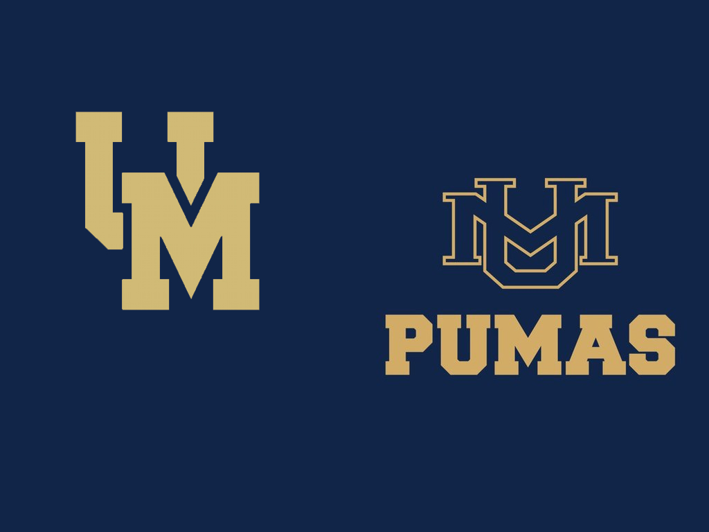 unam wallpaper,font,text,logo,electric blue,brand (#197416) - WallpaperUse