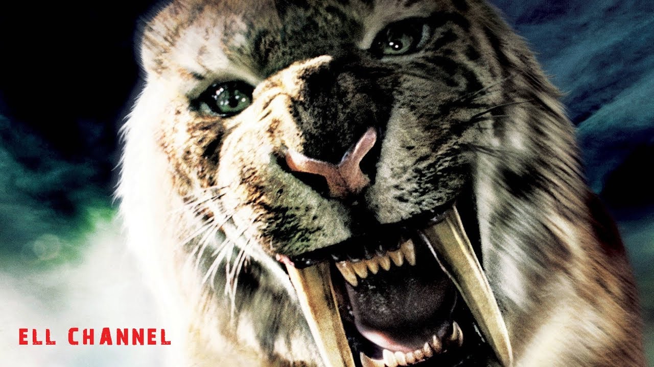 Saber Tooth Tiger Wallpaper Hd- WallpaperUse