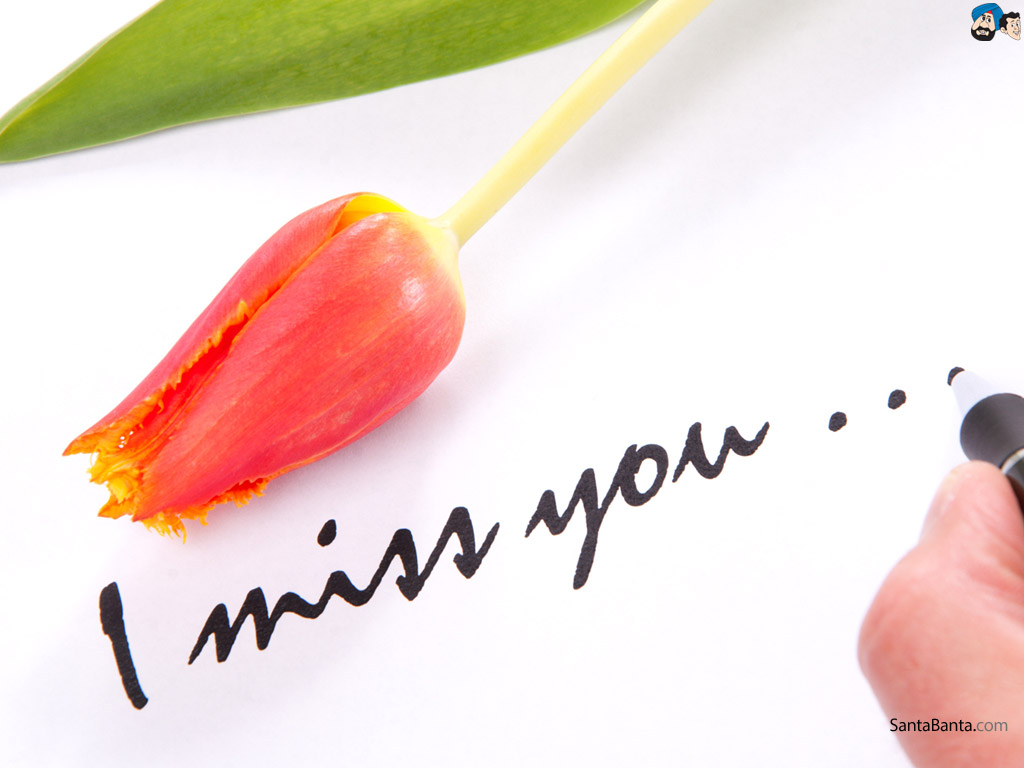 miss u wallpaper,text,nail,font,finger,leaf (#21031) - WallpaperUse