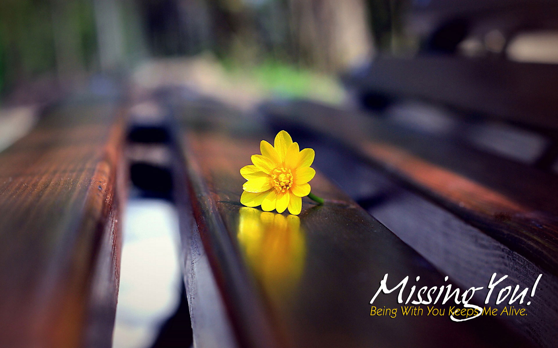 Miss U Images - Someone Miss U Status- WallpaperUse