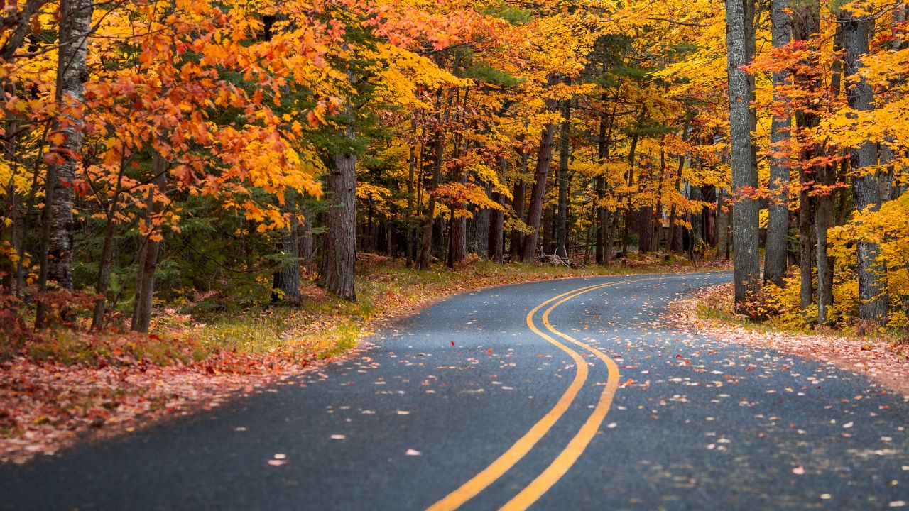 Autumn Road Wallpapers Hd- WallpaperUse