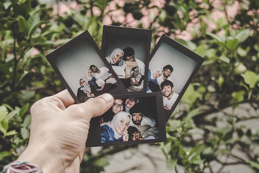 best friend wallpaper,photograph,photography,selfie,tree,hand (#24666 ...