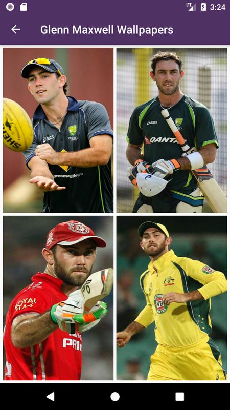 maxwell hd wallpaper,cricket,gli sport,giocatore,giocatore di cricket ...