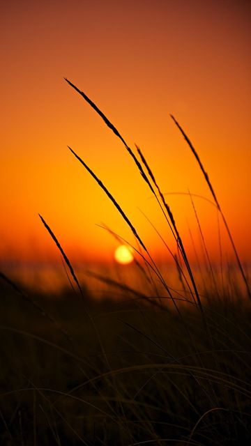 sfondi 360x640,cielo,natura,tramonto,alba,arancia (#202558) - WallpaperUse