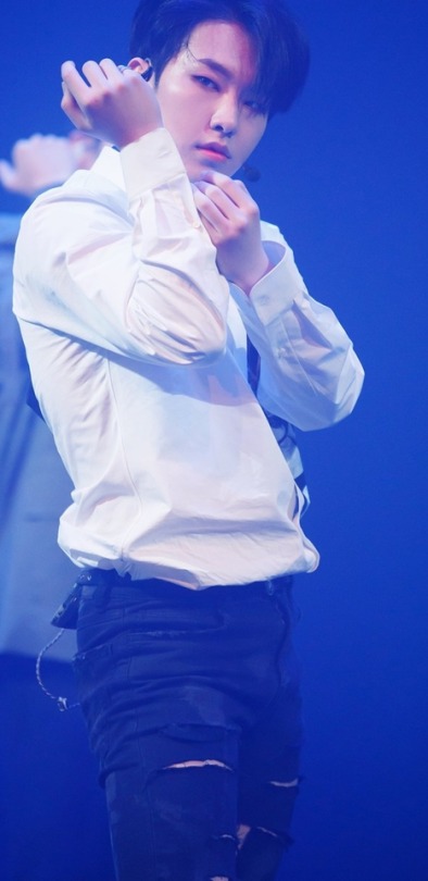 hoshi wallpaper,blue,performance,arm,electric blue,outerwear (#207935 ...