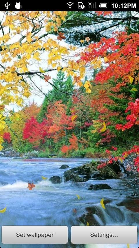 3d Sumit Name Wallpaper Maple Leaf Live Wallpaper With - Maple ...