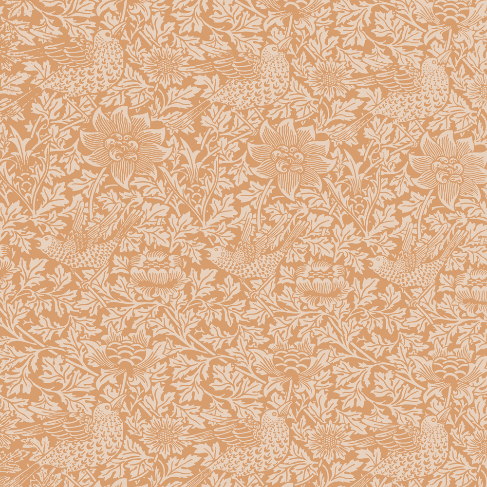 apricot wallpaper,beige,brown,pattern,wallpaper,peach (#211297 ...