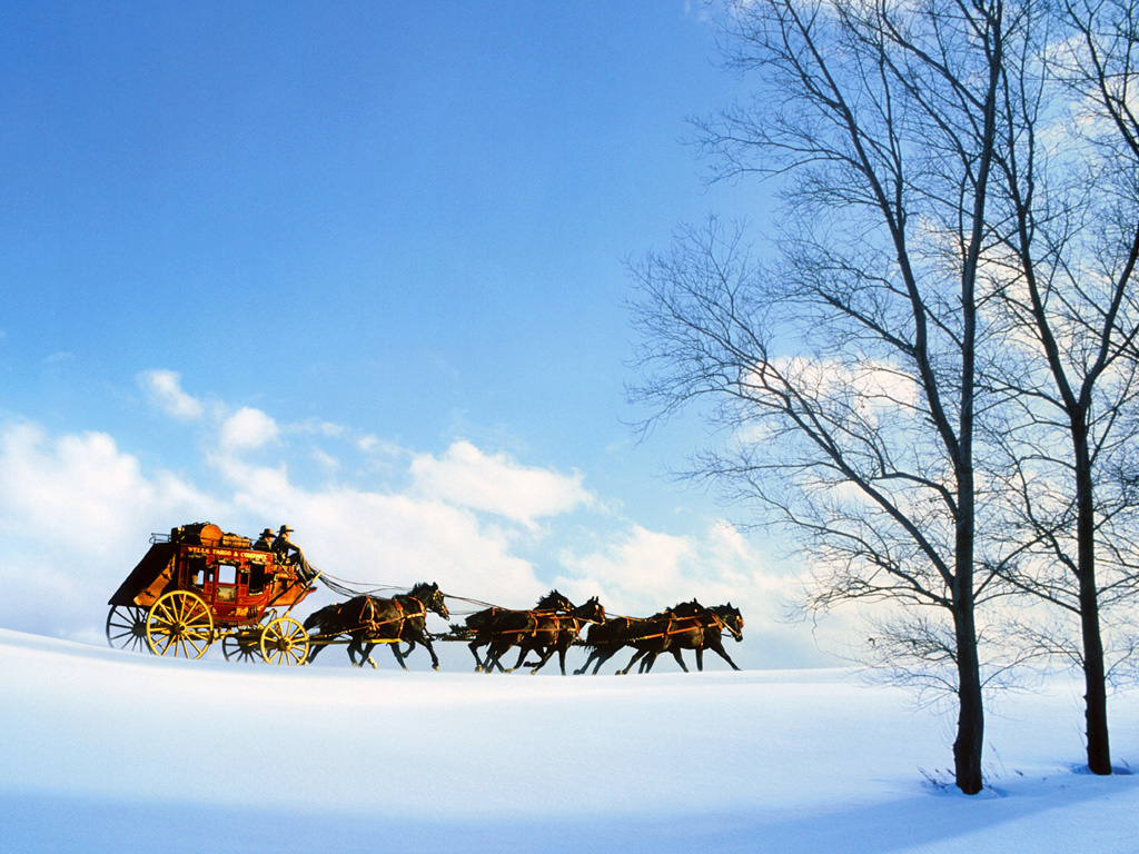 fargo wallpaper,snow,winter,herd,natural landscape,sky (#216512 ...