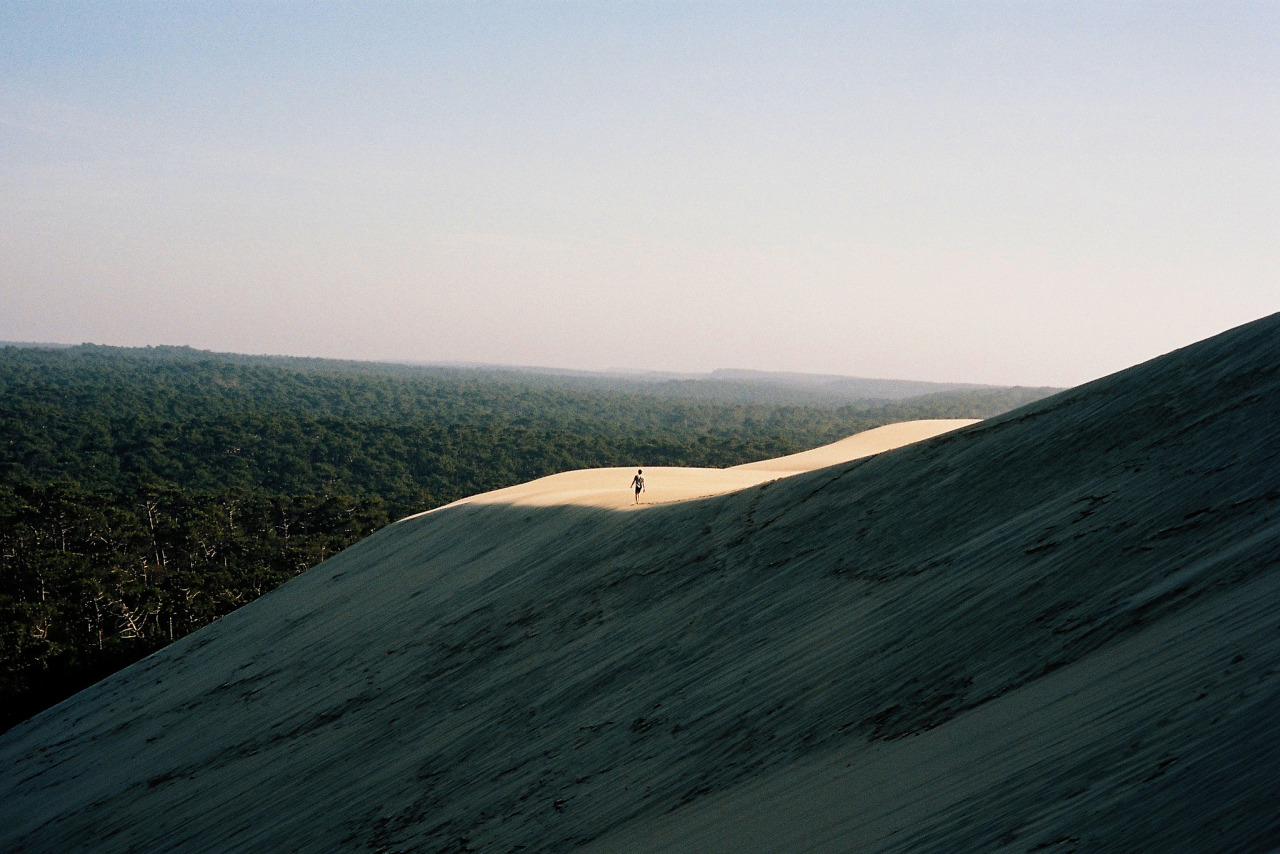 majestätische lässige tapete,himmel,horizont,sand,hügel,morgen (#217761 ...