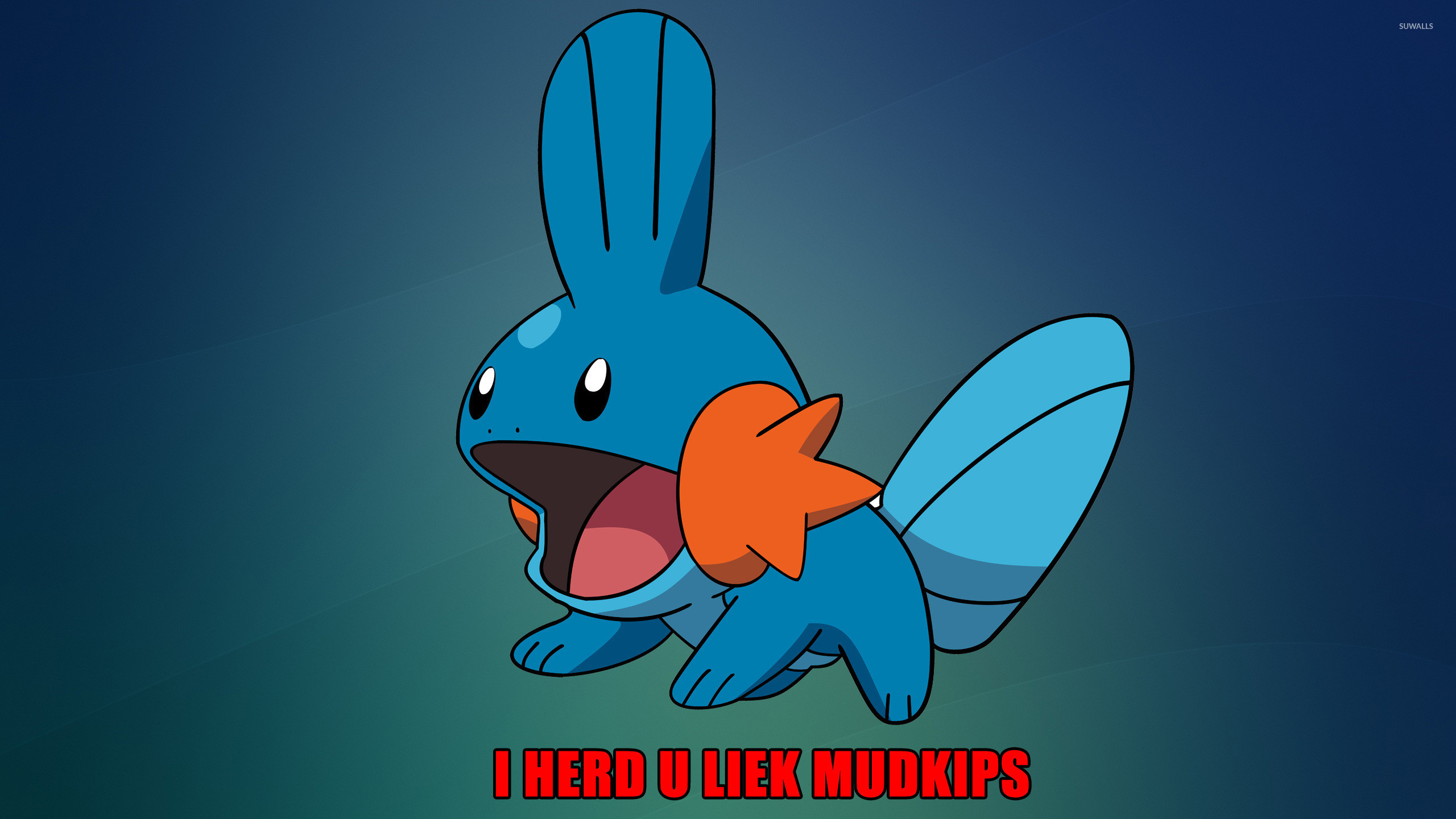 mudkip wallpaper,fish,cartoon,animated cartoon,azure,illustration ...