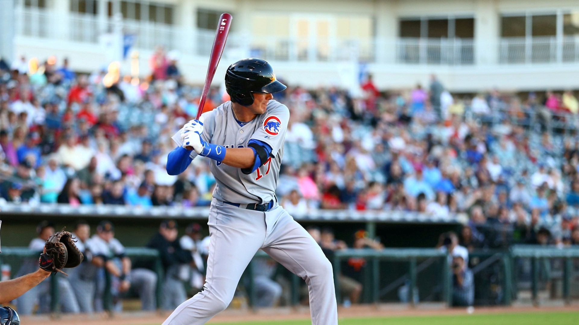 kris bryant fondo de pantalla,jugador de baseball,deportes,uniforme de ...