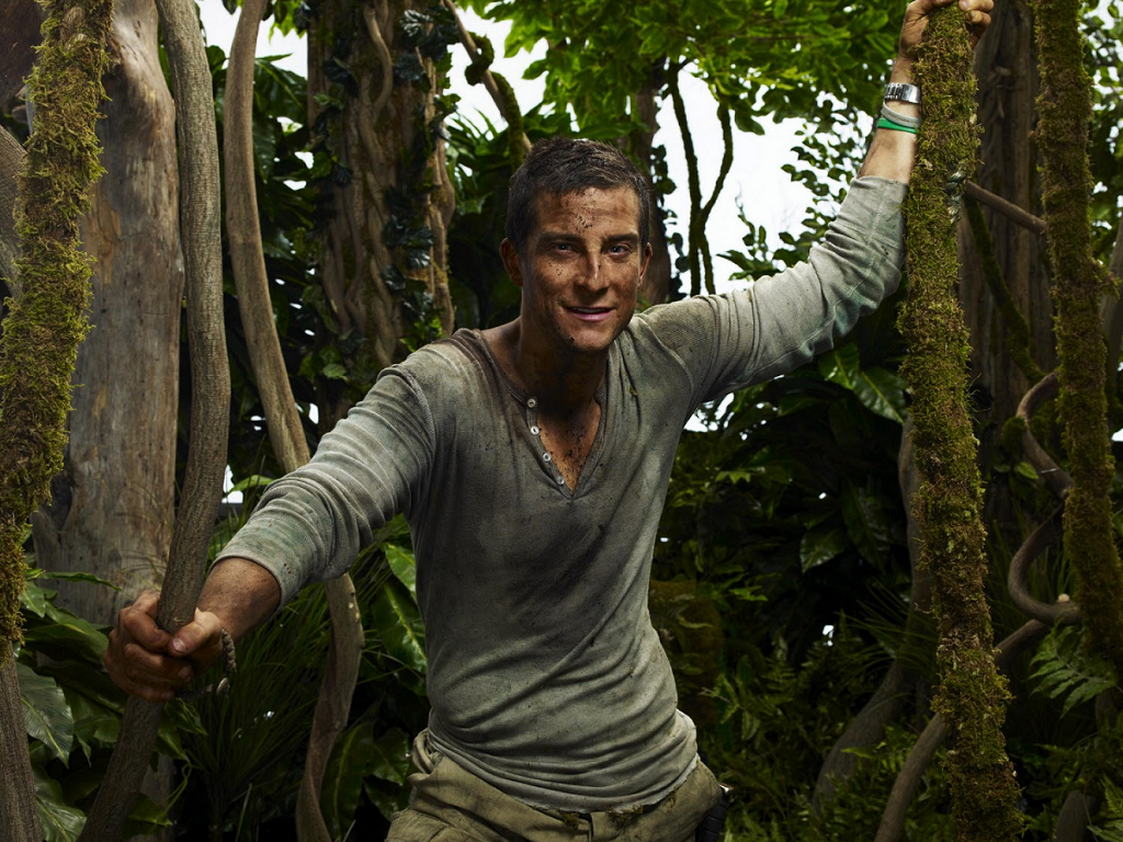 bear grylls wallpaper,jungle,natural environment,forest,tree,rainforest ...