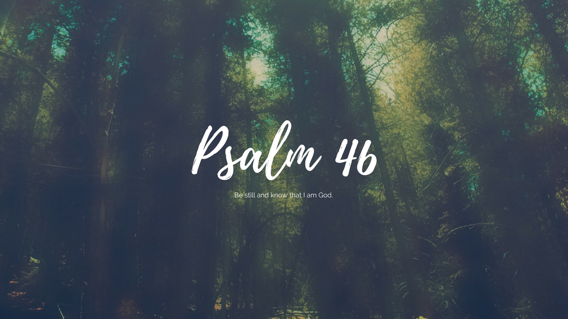 be still wallpaper,green,nature,vegetation,font,text (#233733 ...