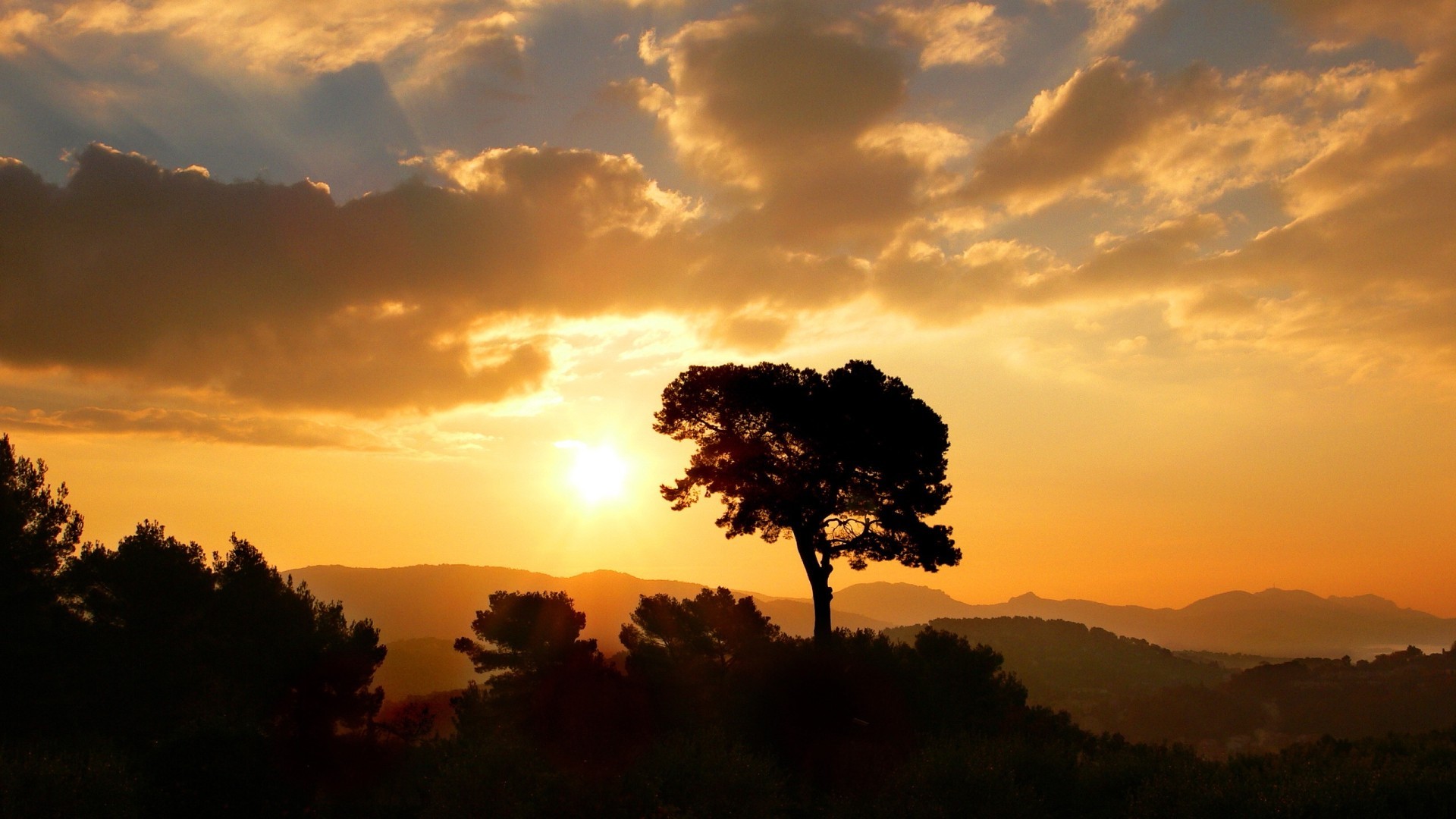 wallpaper siluet,sky,nature,natural landscape,tree,sunset (#235258 ...
