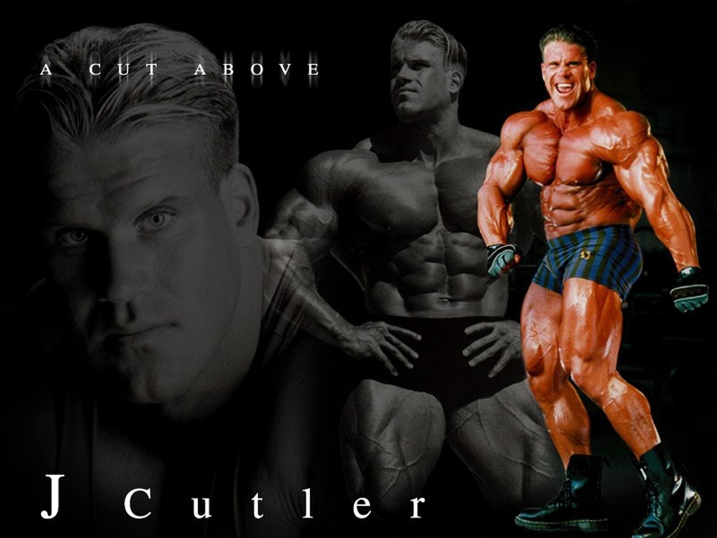 Pro Bodybuilder Wallpaper - Jay Cutler- WallpaperUse