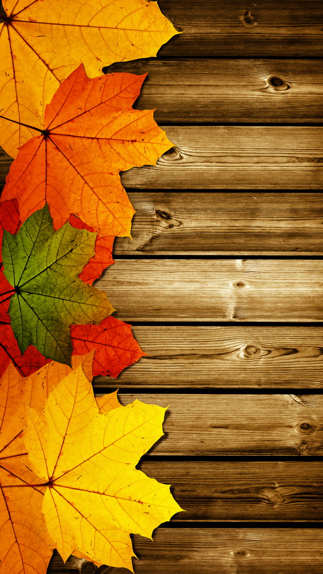 Fun Fall Background- WallpaperUse