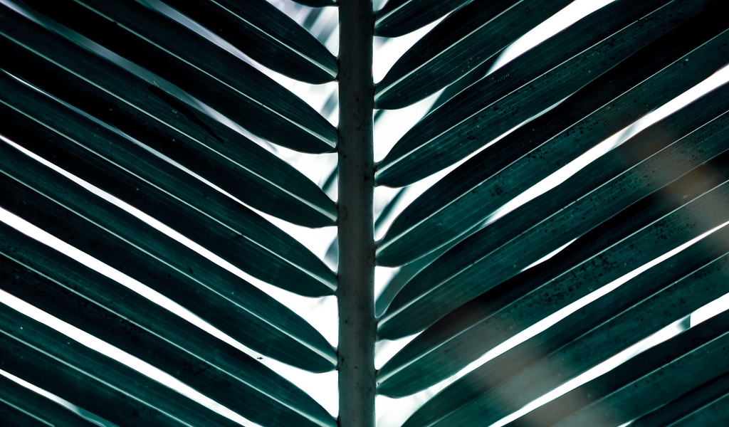 1024x600 hd wallpaper,line,pattern,design,architecture,parallel (#245222) - WallpaperUse