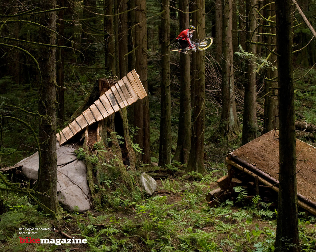 freeride wallpaper,forest,natural environment,old growth forest,tree ...