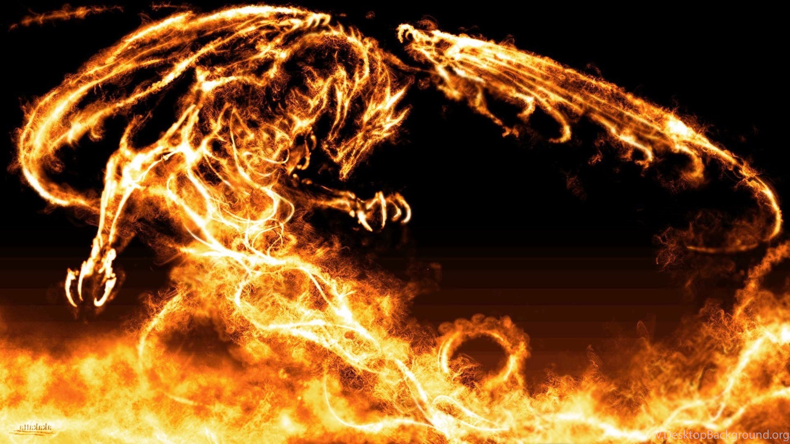 Cool Fire Dragon Wallpapers Feel Hearts - Cool Dragon Backrond Fire ...