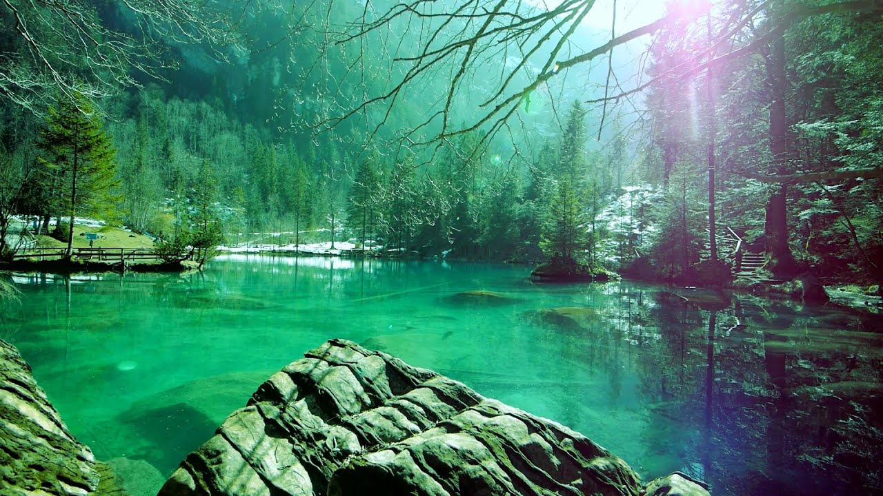 relief wallpaper,nature,natural landscape,green,water,nature reserve ...