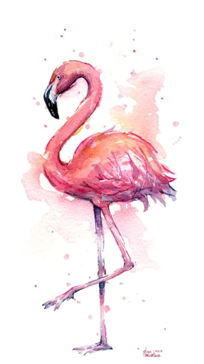 flamingo wallpaper tumblr,flamingo,greater flamingo,bird,pink,water ...