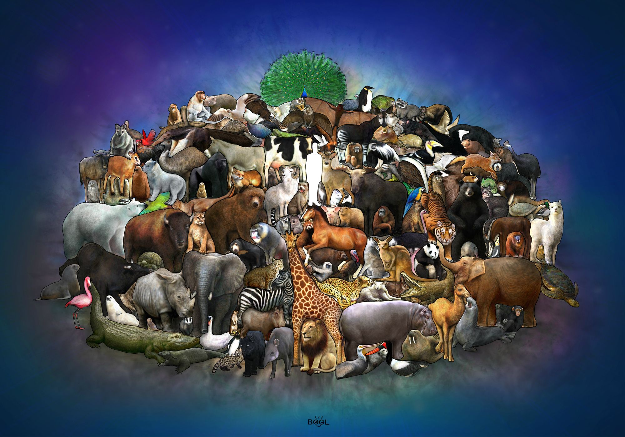 Complex Piece Of Art To Date It Is Composed Entirely - All Animals In ...