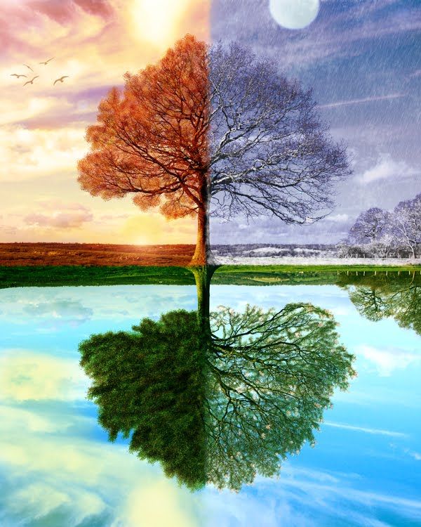 seasons live wallpaper,sky,natural landscape,reflection,nature,tree ...