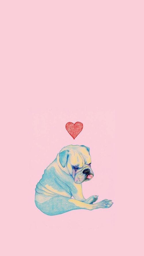 wallpaper de animais,dog,canidae,pug,pink,puppy (#275674) - WallpaperUse
