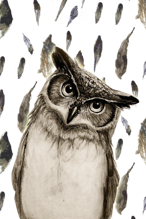 papel pintado coruja,búho,pájaro,lechuza oriental,gran búho cornado ...