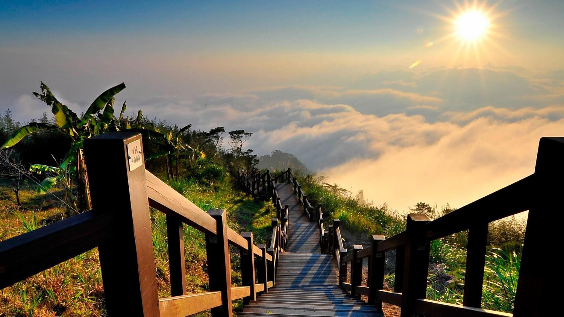 wallpaper de paisagens,natural landscape,nature,sky,nature reserve,tree ...