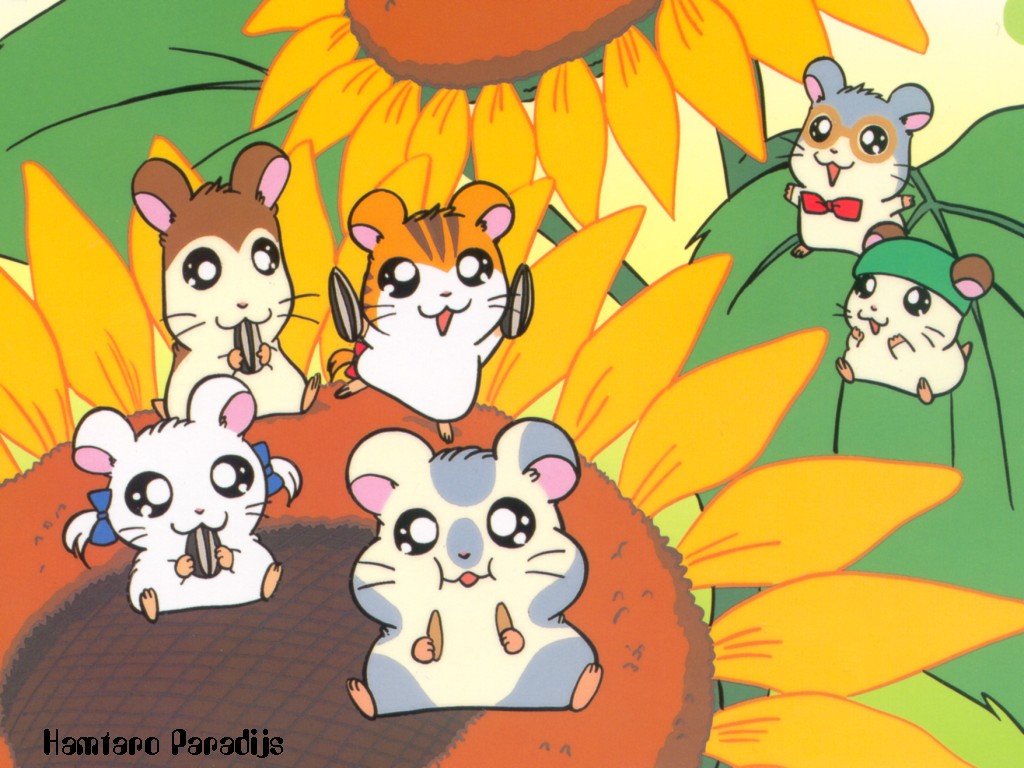 Hamtaro And Friends Wallpaper