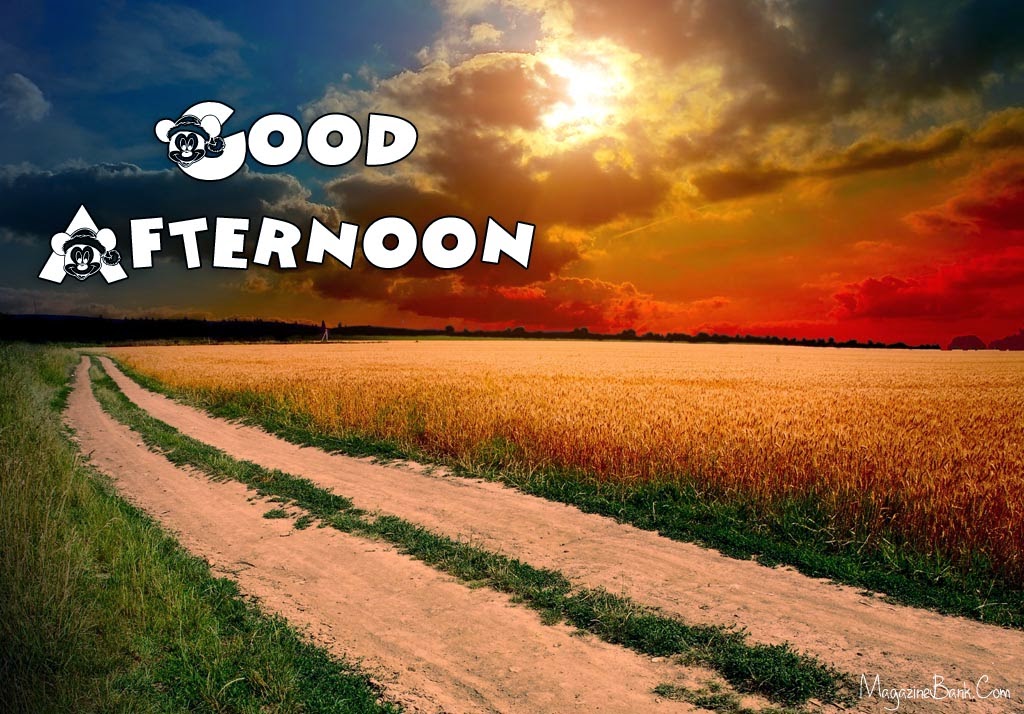 good noon wallpaper,natural landscape,sky,nature,field,morning (#287741 ...