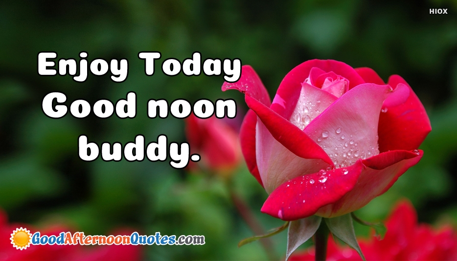 Good Afternoon Quotes For Buddy - Good Noon- WallpaperUse