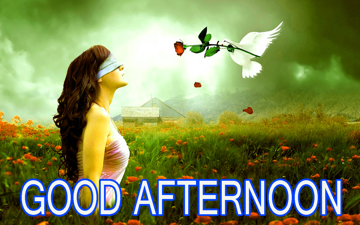 good noon wallpaper,people in nature,sky,photography,wing,plant ...