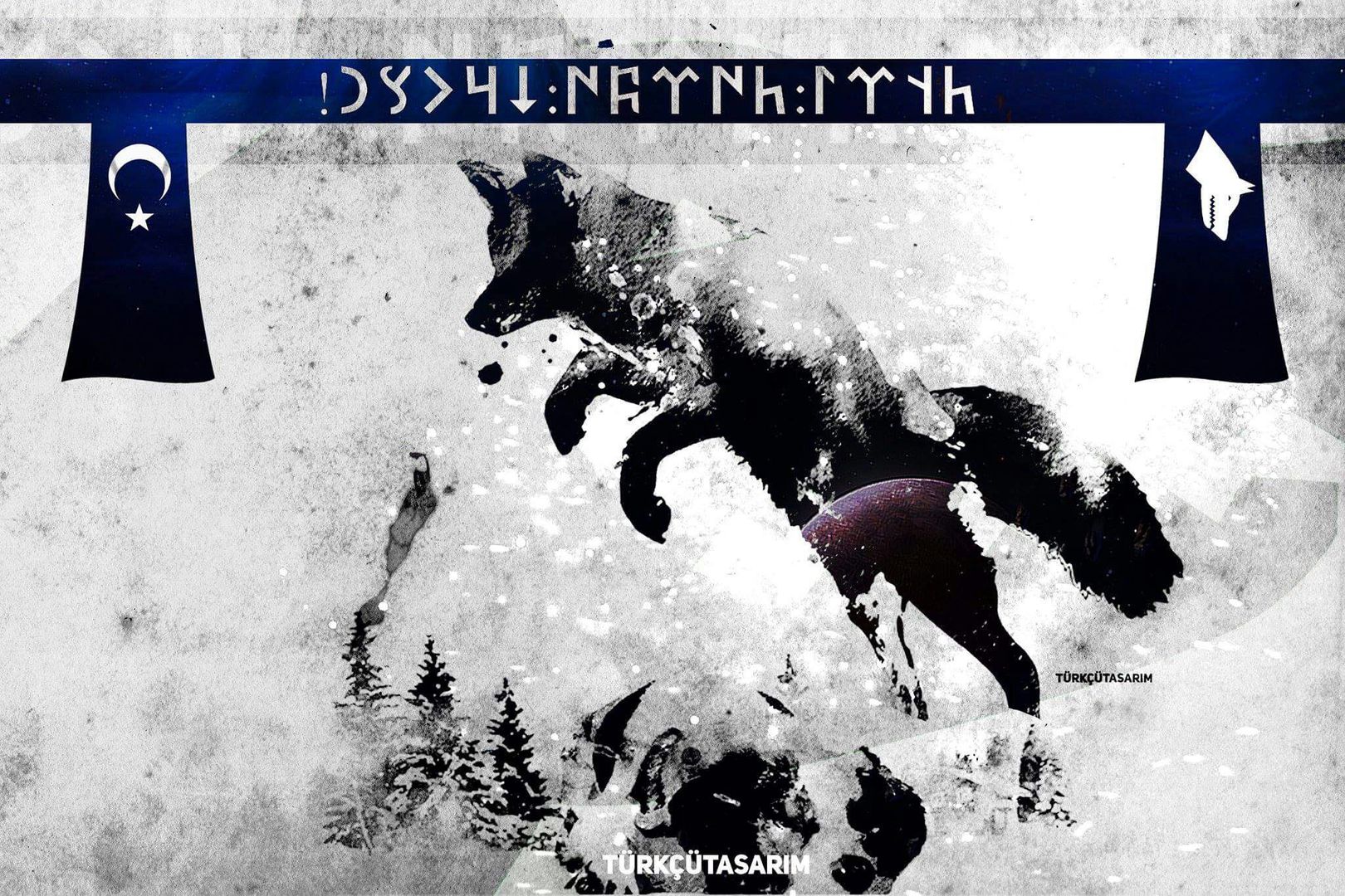 Pan-turkism- WallpaperUse