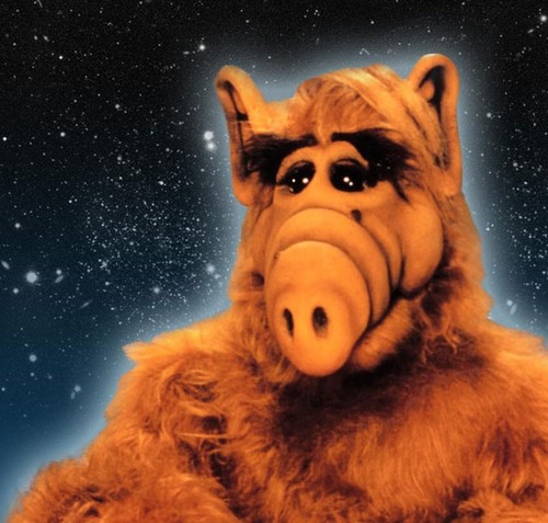 alf wallpaper,sky,animated cartoon,snout,animation,space (#291298 ...