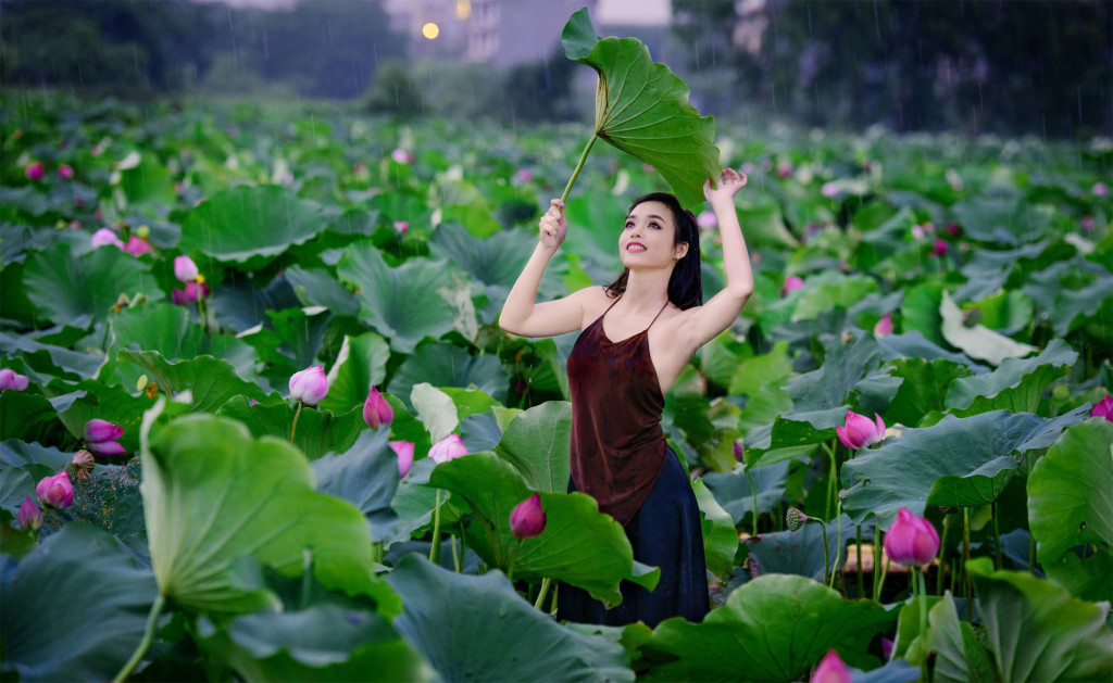 barsaat wallpaper,people in nature,flower,lotus family,aquatic plant ...