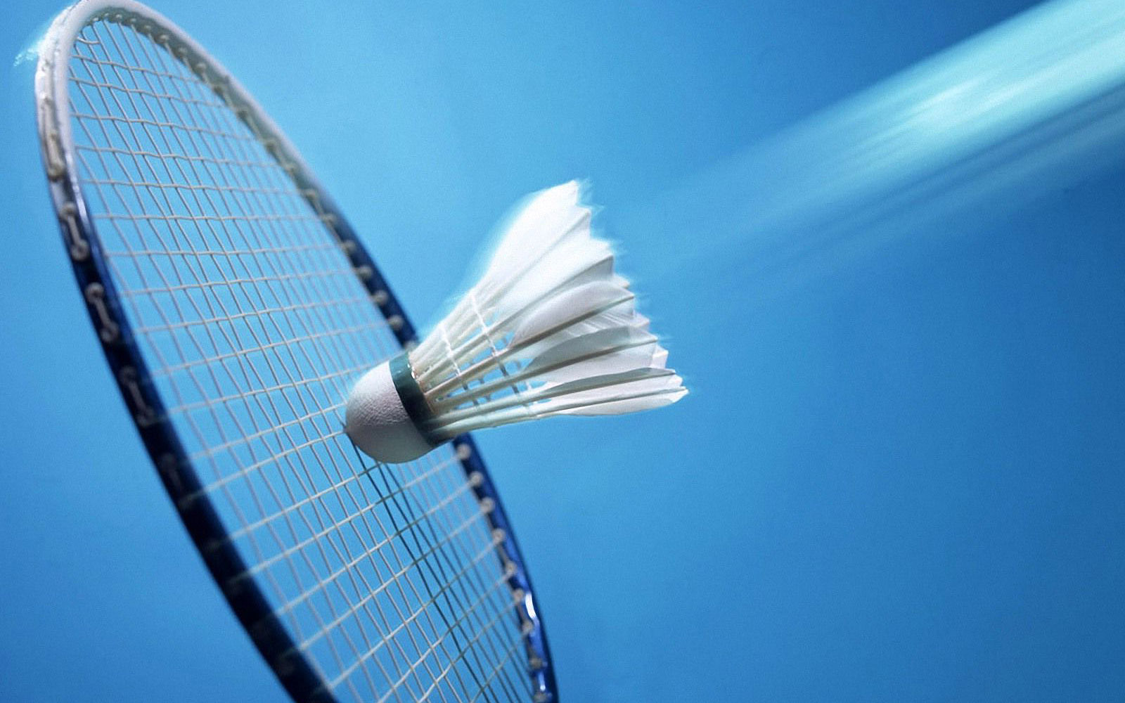 volano da parati,badminton,sport con racchetta,blu,racchetta,badminton ...