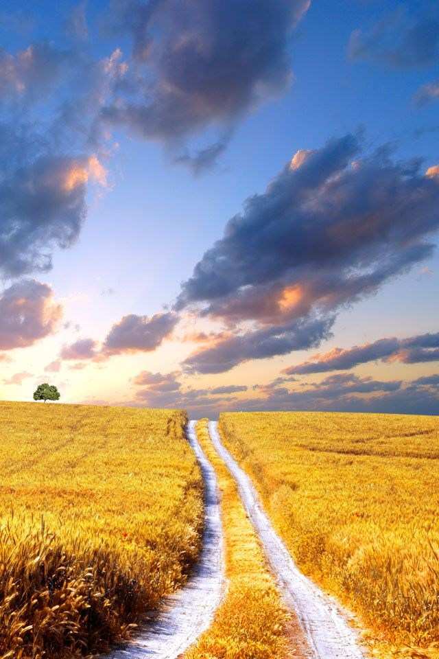 untuk wallpaper,natural landscape,sky,nature,field,road (#296930 ...