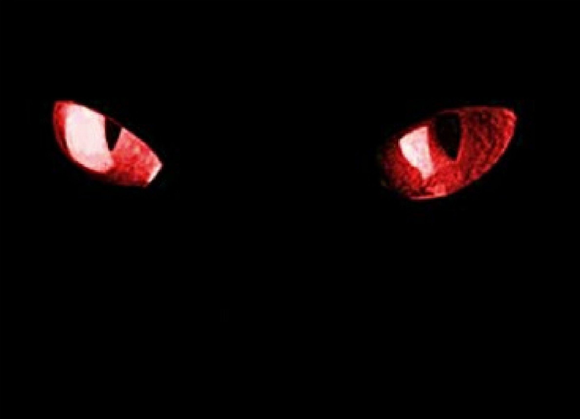 2380x1720, Wallpapers For > Red Eyes Wallpaper Hd - Dark Red Cat Eyes ...