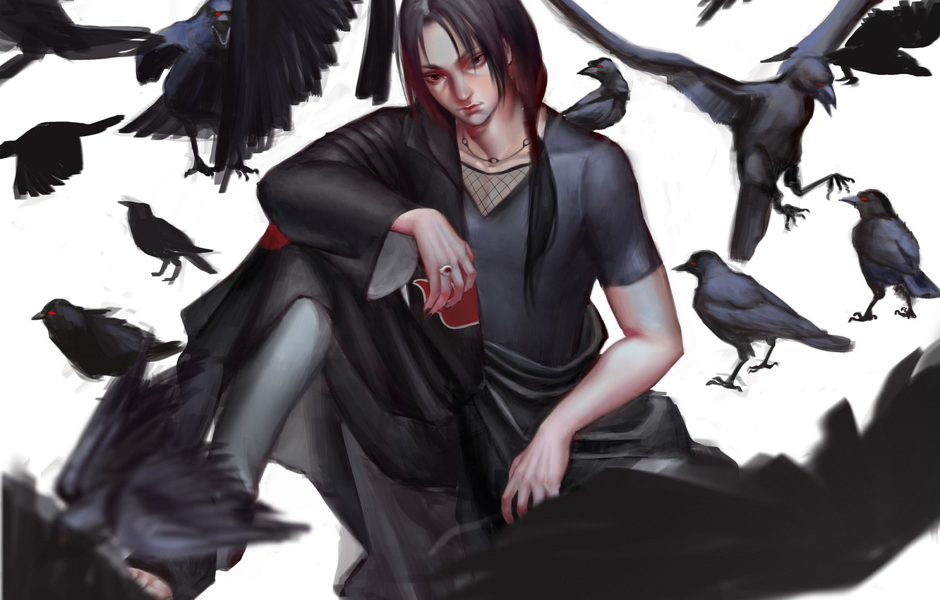 itachi wallpaper,crow,bird,raven,crow like bird,raven (#36317 ...