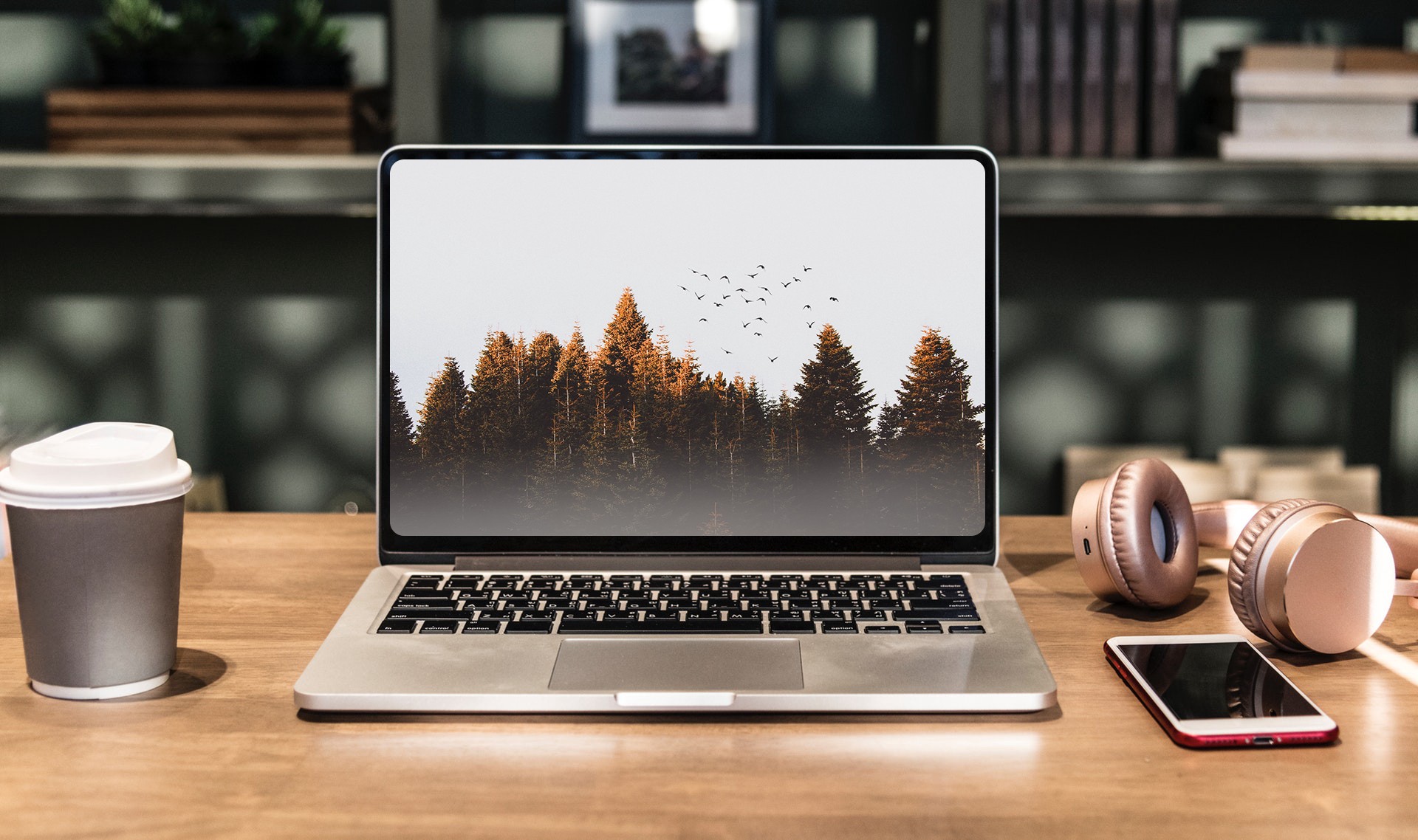 tapete langsung,laptop,produkt,persönlicher computer,technologie ...