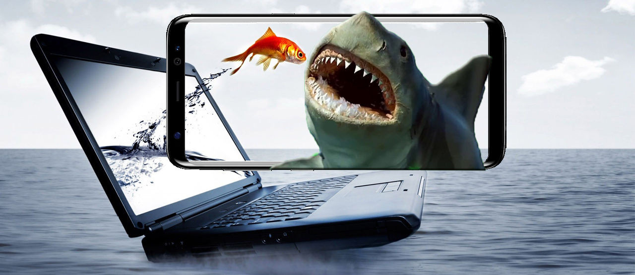 aplikasi wallpaper,fish,laptop,shark,cartilaginous fish,technology ...