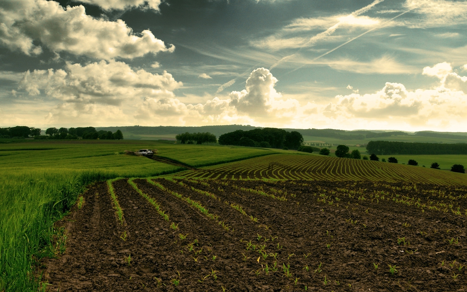 agriculture wallpaper hd,field,sky,nature,green,cloud (#311404 ...