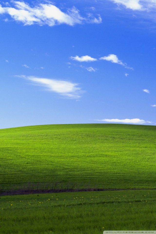 High Resolution Windows Xp Background- WallpaperUse