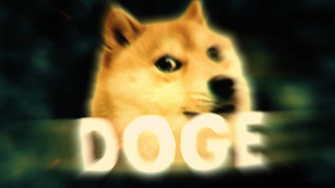 doge live wallpaper,mammal,vertebrate,dog,shiba inu,canidae (#317395 ...